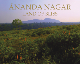 Ananda Marga: Meditation, yoga and social service